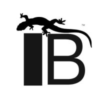 💔 Character Spotlight: Sugar – Lizard Books LLC